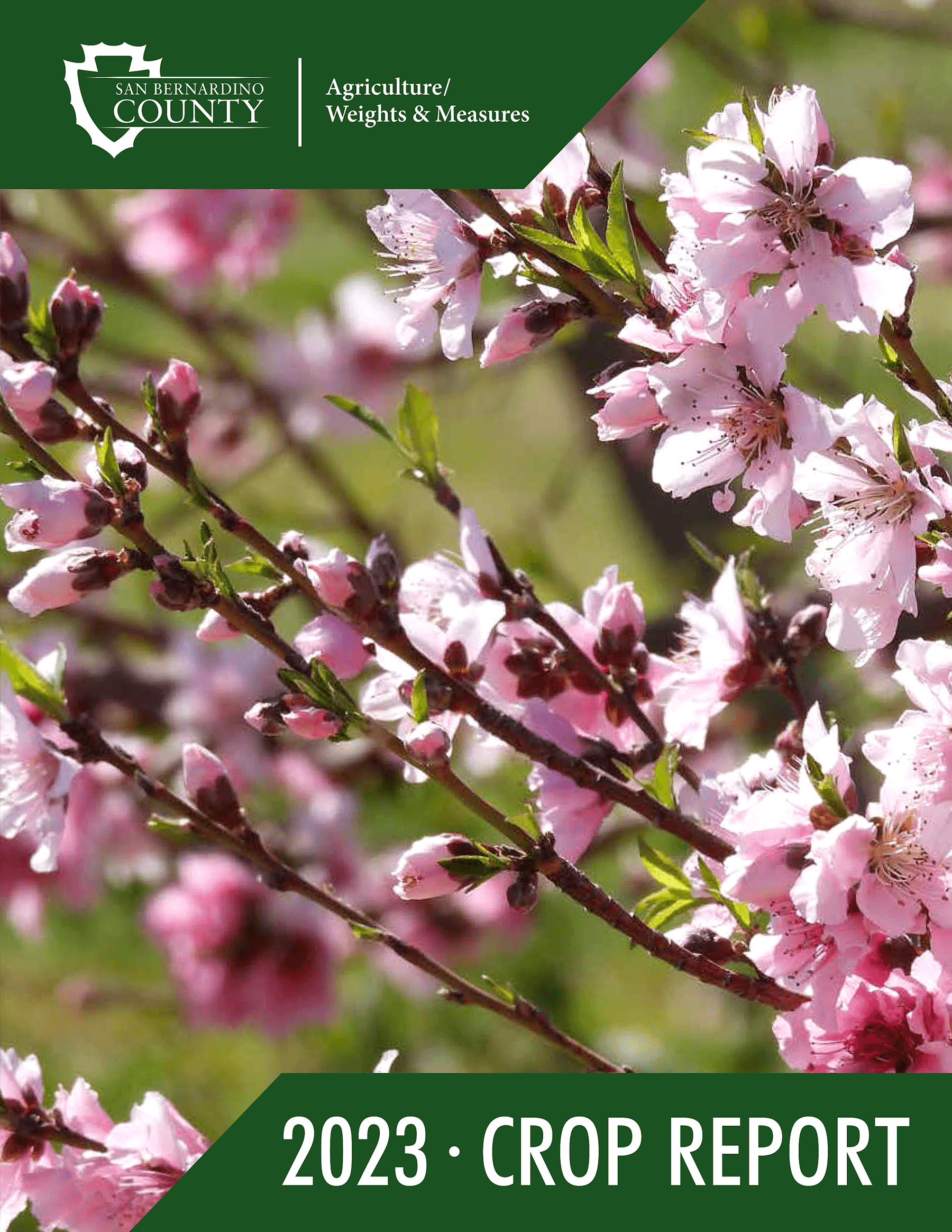 Crop Reports – AWM